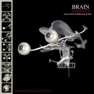 4D Brain Animation – Anthro-Media